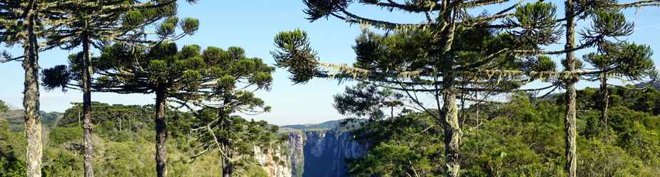 Polera Wading Anglers Hombre – Wading anglers